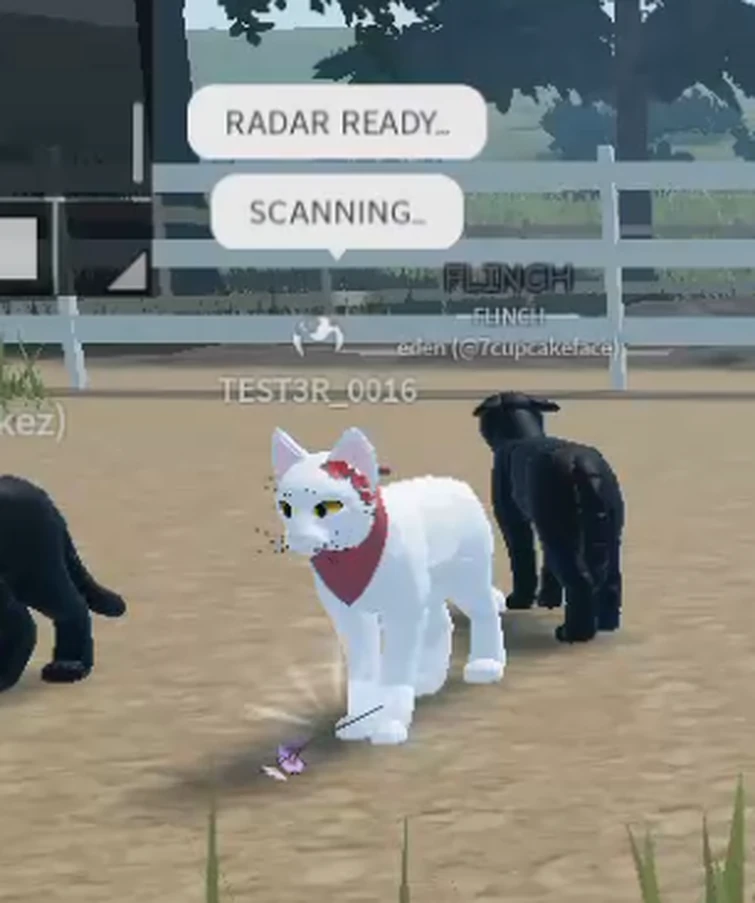 Test3r 0016 | WCUE: Debugs and Testers Wiki | Fandom