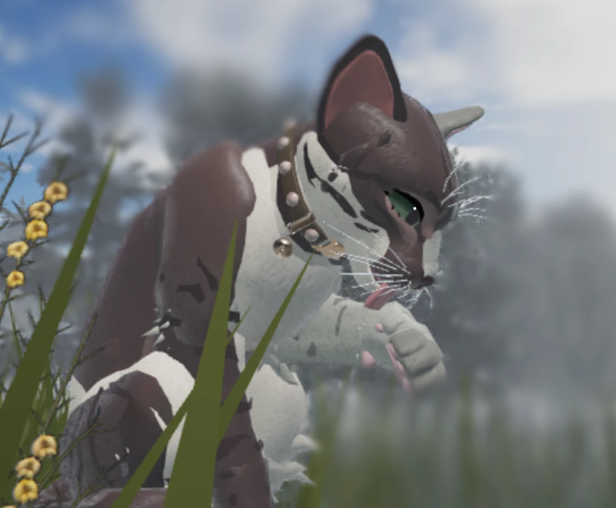 Dusk Stars | Dusk Stars Wiki | Fandom