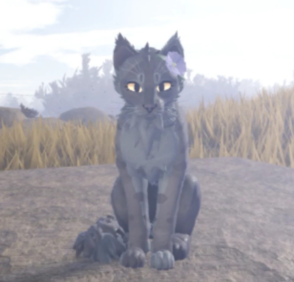 Mousetail | Dusk Stars Wiki | Fandom