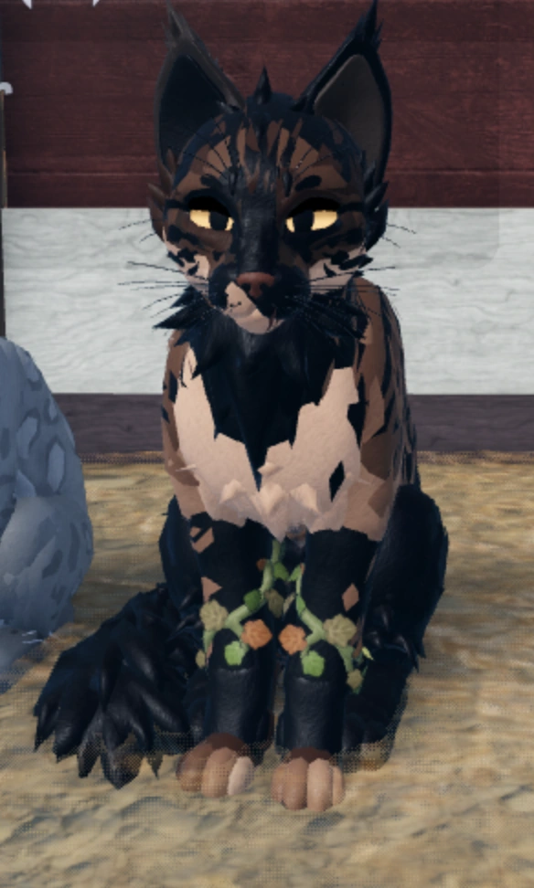 Razorspirit | Dusk Stars Wiki | Fandom