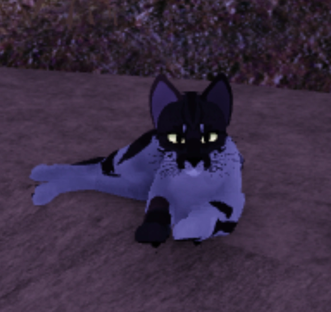 Category:Characters | Dusk Stars Wiki | Fandom