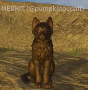 Mythic Eyes | Wcue Glitchers Wiki | Fandom