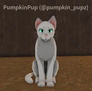 Uneven Ears | Wcue Glitchers Wiki | Fandom