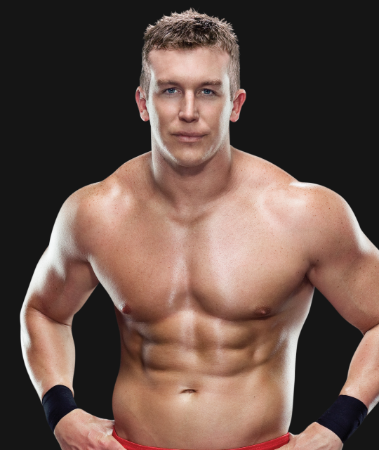 Ted DiBiase | WDFE Wiki | Fandom