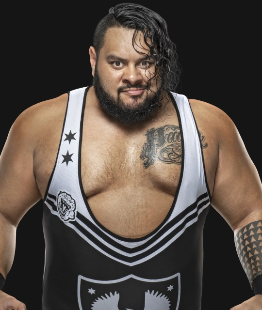 Bronson Reed | WDFE Wiki | Fandom