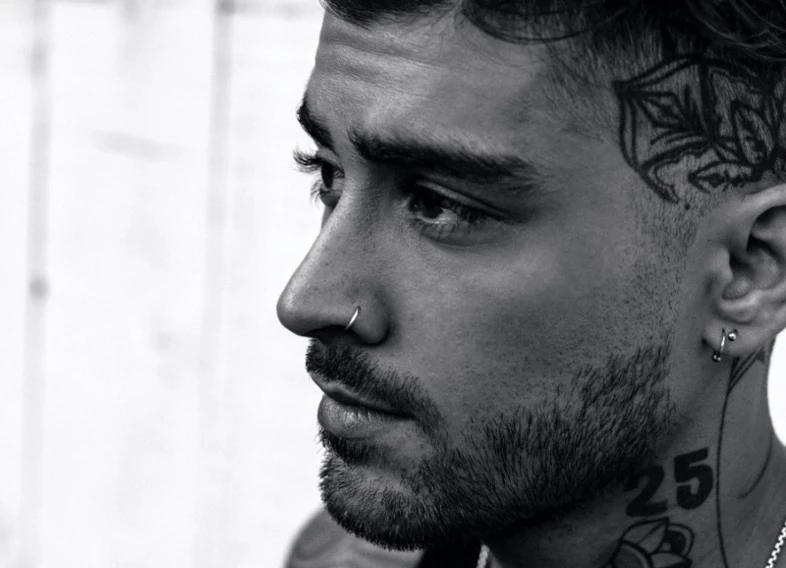 Zayn | We Are One Song Contest Wikia | Fandom