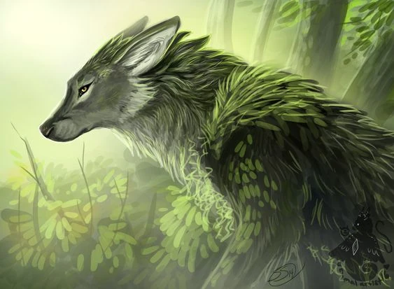 Farkas | We Are the Youth Wiki | Fandom