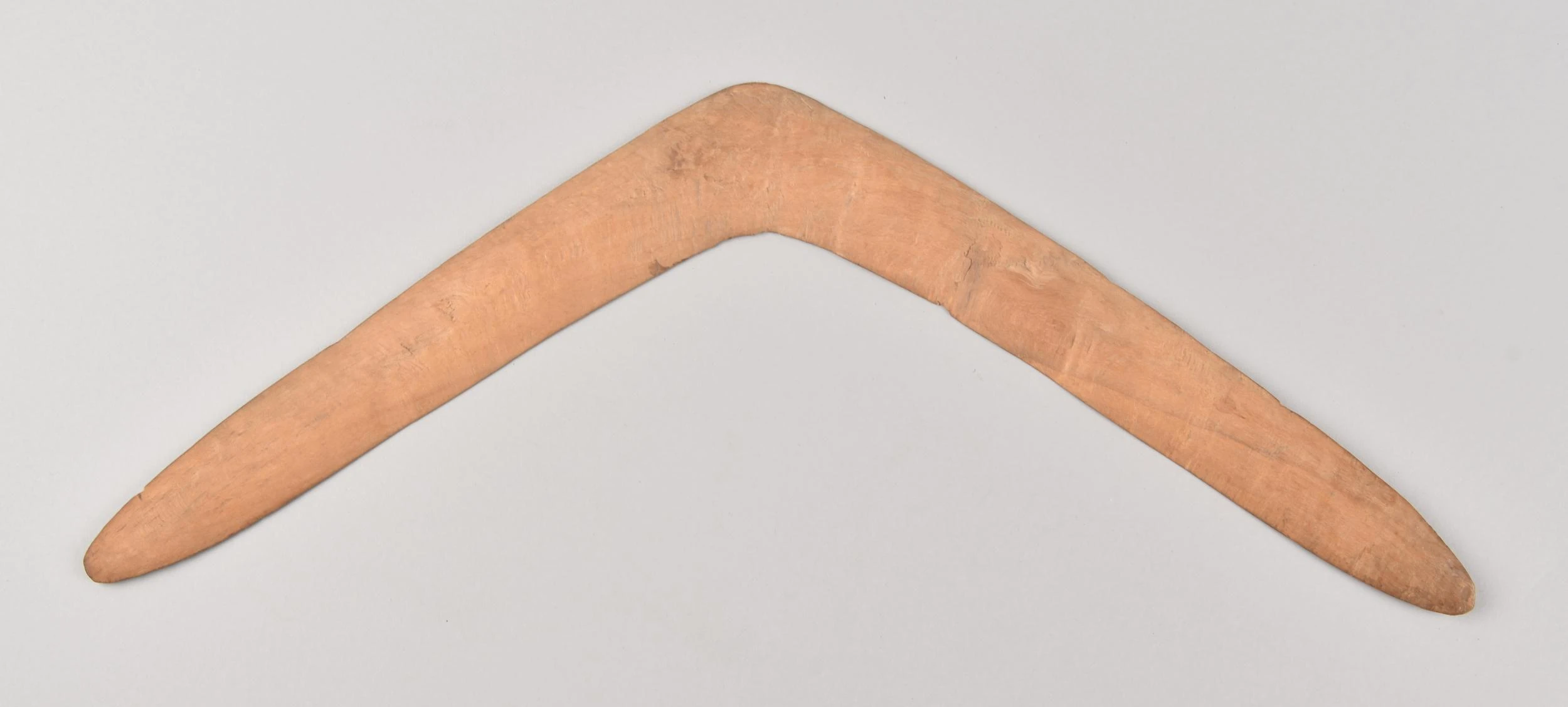 Boomerang Weapon Wiki Fandom