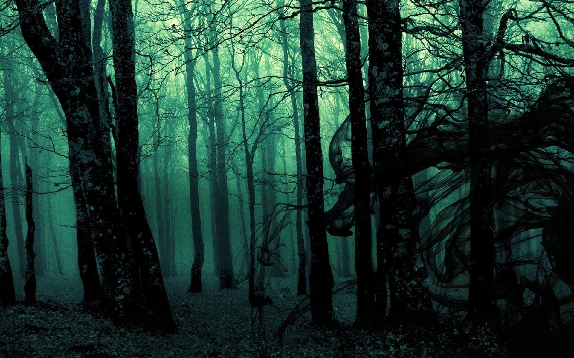 Dark Forest Warriors