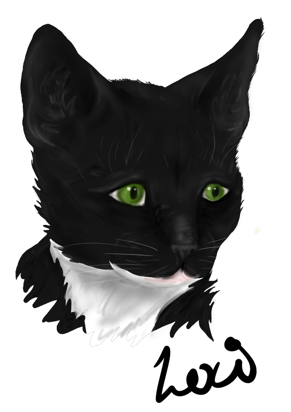 Merlinspell | WeAreWarriors Wikia | Fandom