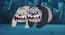 Primal | We Bare Bears Wiki | Fandom