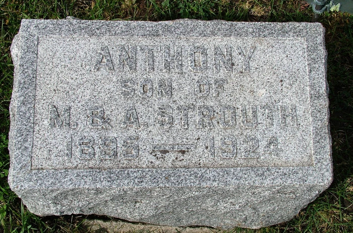 Anthony Strouth | WeberBreuer Wiki | Fandom