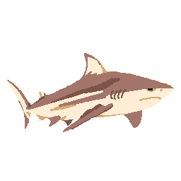 Bullshark | Webfishing Wiki | Fandom