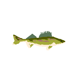 Walleye | Webfishing Wiki | Fandom