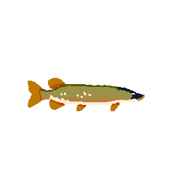 Pike | Webfishing Wiki | Fandom