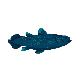 Coelacanth | Webfishing Wiki | Fandom