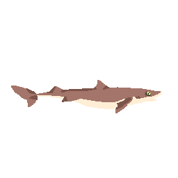 Dogfish | Webfishing Wiki | Fandom