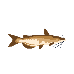 Catfish | Webfishing Wiki | Fandom