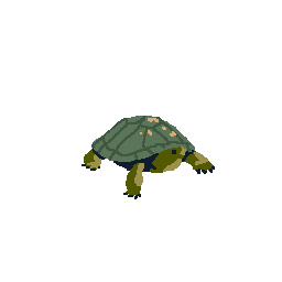 Turtle | Webfishing Wiki | Fandom