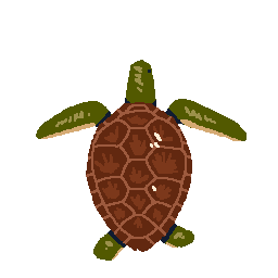 Sea Turtle | Webfishing Wiki | Fandom