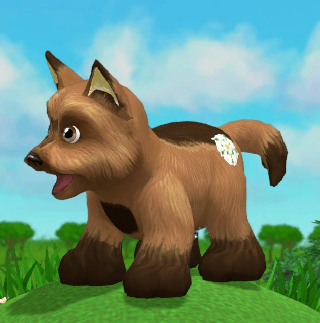 Yorkshire Terrier | Webkinz Next Wiki | Fandom