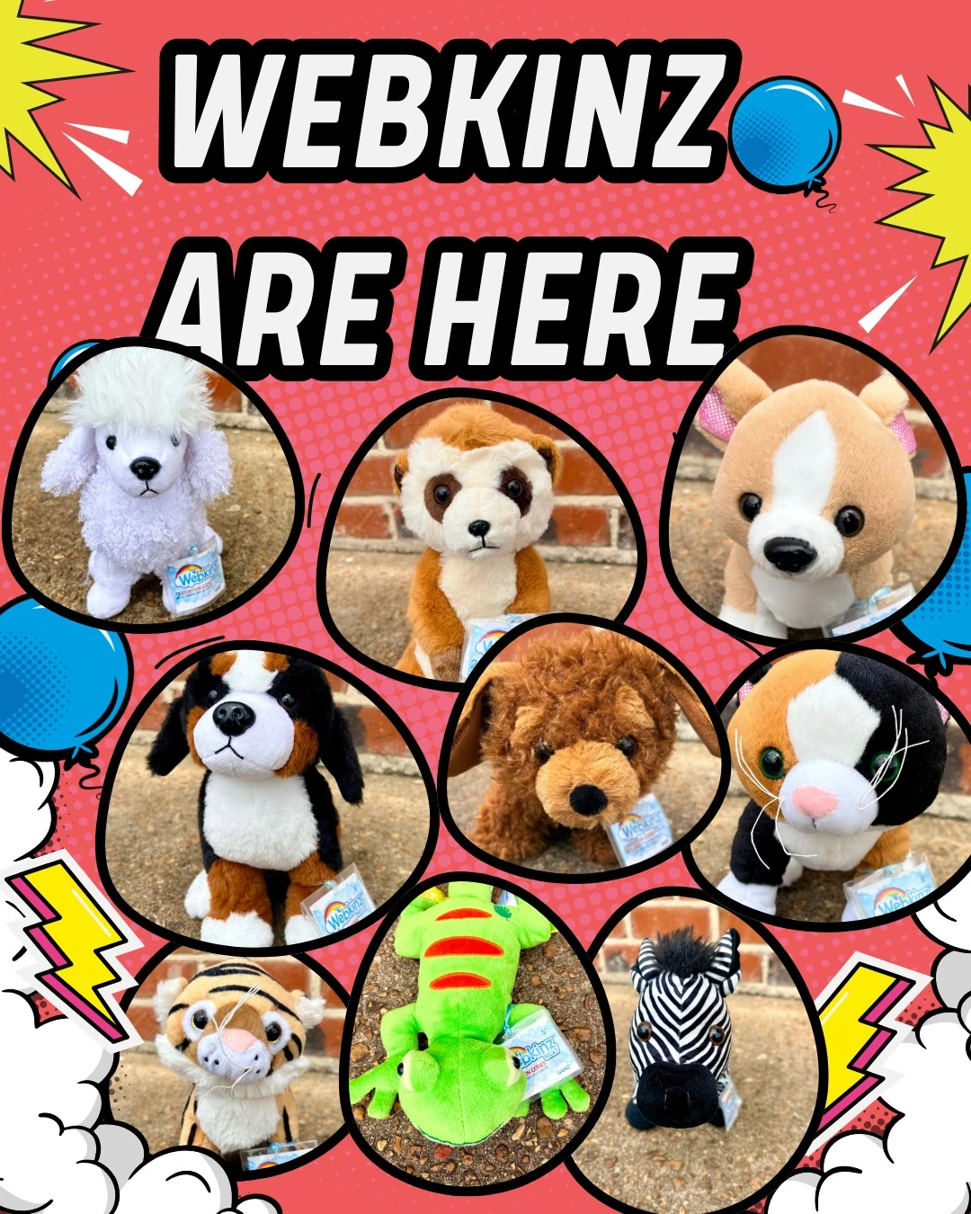 Mississippi Official Retailers | Webkinz Wiki | Fandom