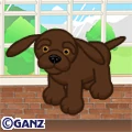 Cocoa Lab | Webkinz Wiki | Fandom