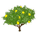 Marzipan Lemon Candy Tree | Webkinz Wiki | Fandom