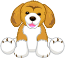 Small Signature Beagle | Webkinz Wiki | Fandom
