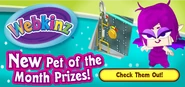 Nafaria | Webkinz Wiki | Fandom