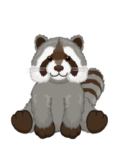 Signature Raccoon | Webkinz Wiki | Fandom