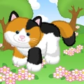 Patchwork Cat | Webkinz Wiki | Fandom