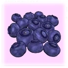 Blueberries | Webkinz Wiki | Fandom
