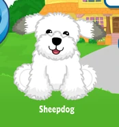 Sheepdog | Webkinz Wiki | Fandom