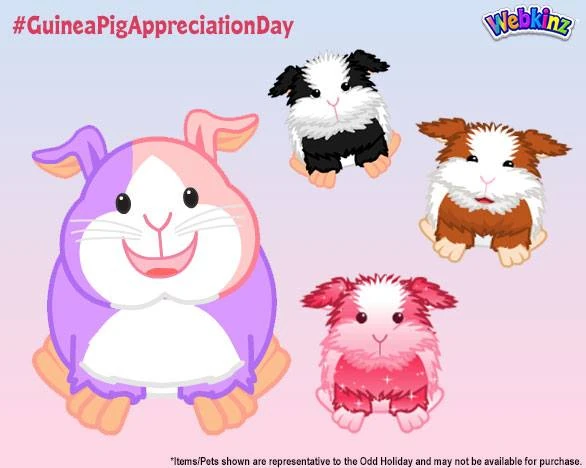 Guinea Pig Appreciation Day | Webkinz Wiki | Fandom