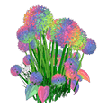 Magic Rainbow Plant | Webkinz Wiki | Fandom