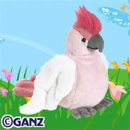 Pink Cockatoo | Webkinz Wiki | Fandom