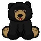 American Black Bear | Webkinz Wiki | Fandom