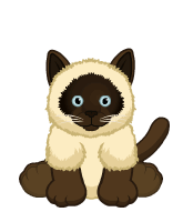 Signature Siamese Cat | Webkinz Wiki | Fandom