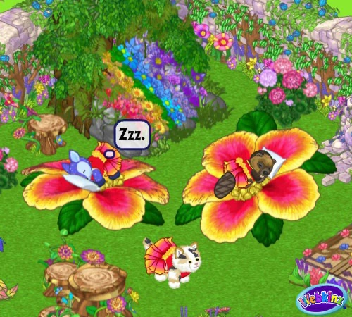 Hibiscus Theme | Webkinz Wiki | Fandom