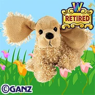 American Cocker Spaniel | Webkinz Wiki | Fandom