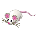 White Mouse Plushy | Webkinz Wiki | Fandom