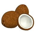 Coconut | Webkinz Wiki | Fandom