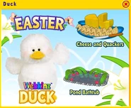 Duck | Webkinz Wiki | Fandom