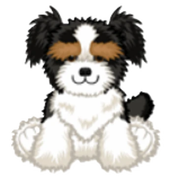 how to draw a morkie puppy