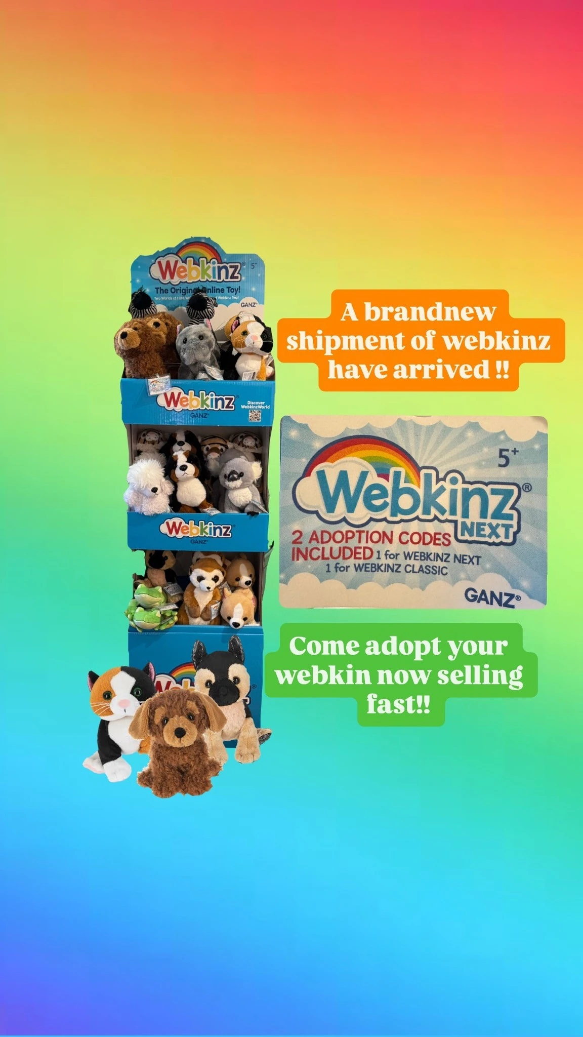Maryland Official Retailers | Webkinz Wiki | Fandom
