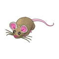 Field Mouse Plushy | Webkinz Wiki | Fandom