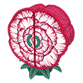 Peppermint Carnation Wardrobe | Webkinz Wiki | Fandom