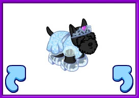 Ice Princess Outfit | Webkinz Wiki | Fandom