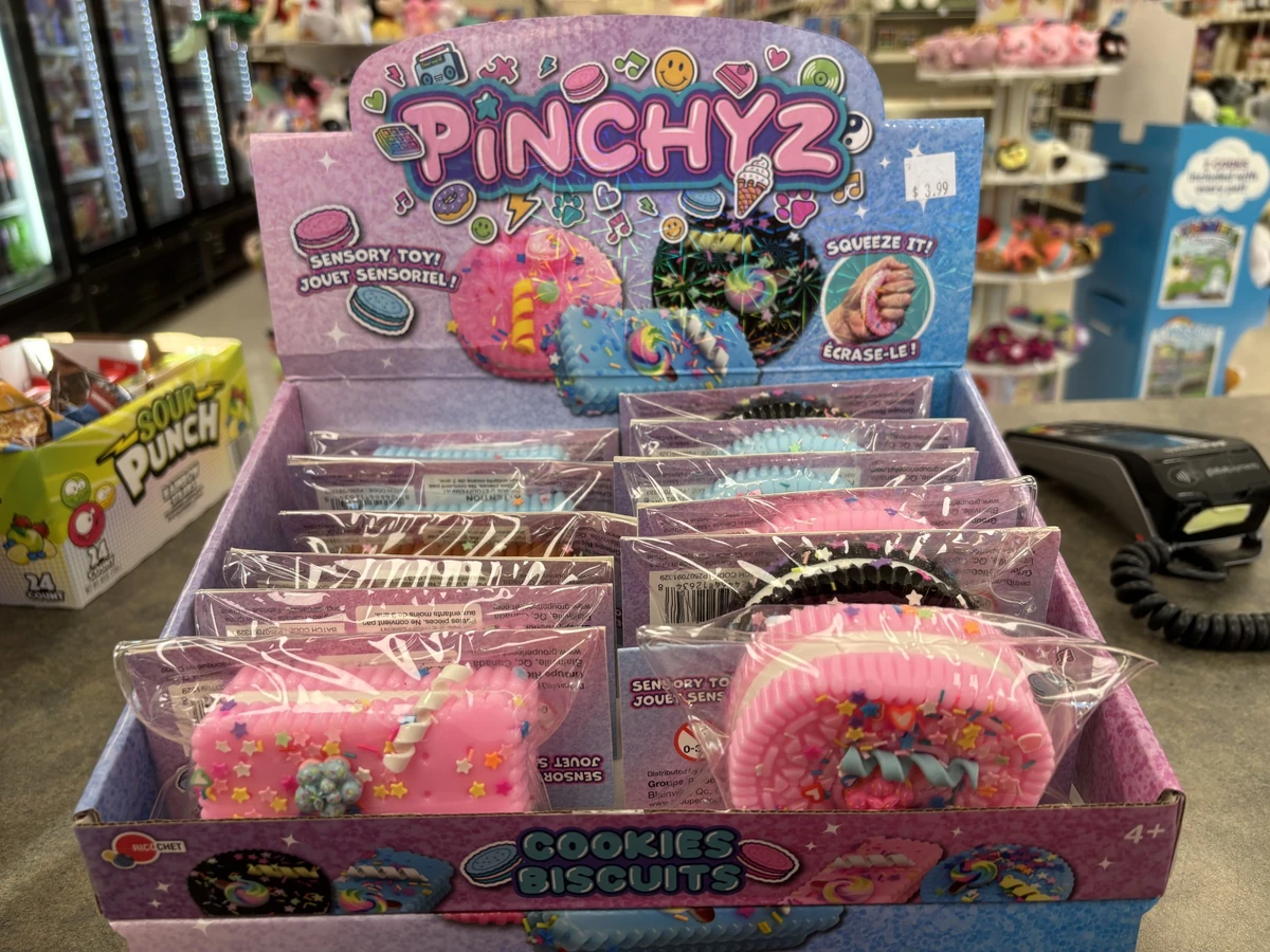 Saskatchewan Official Retailers | Webkinz Wiki | Fandom